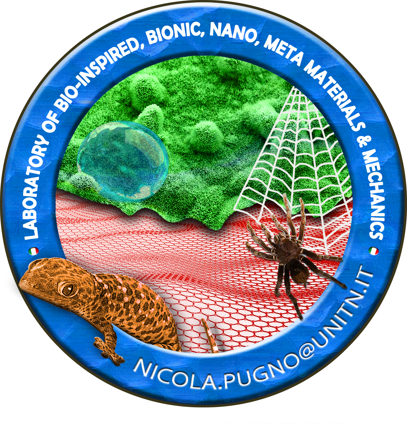 Nicola Pugno - Solid and Structural Mechanics Group - University of Trento